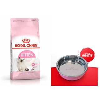 Royal Canin Kitten FD 400 gramos